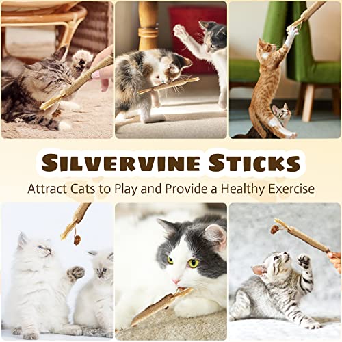 XGXN Cat Toy with Silvervine for Cats, Silvervine Sticks Interactive Cat Toys for Indoor Cats, Edible Catnip Cat Chew Toys for Cats Lick, Kitten Teeth Cleaning and Fresh Breath (3 Packs)