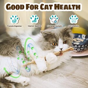 XGXN Cat Toy with Silvervine for Cats, Silvervine Sticks Interactive Cat Toys for Indoor Cats, Edible Catnip Cat Chew Toys for Cats Lick, Kitten Teeth Cleaning and Fresh Breath (3 Packs)