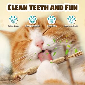 XGXN Cat Toy with Silvervine for Cats, Silvervine Sticks Interactive Cat Toys for Indoor Cats, Edible Catnip Cat Chew Toys for Cats Lick, Kitten Teeth Cleaning and Fresh Breath (3 Packs)