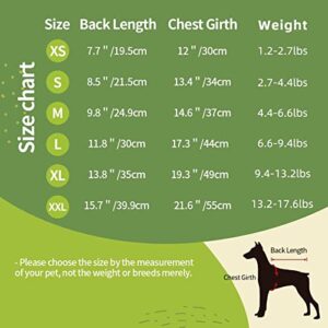 Math Dog Hoodies, Pet Clothes Costumes, Science Pets Wear Hoodie Pullover for Puppy Cat Outdoor (Small)