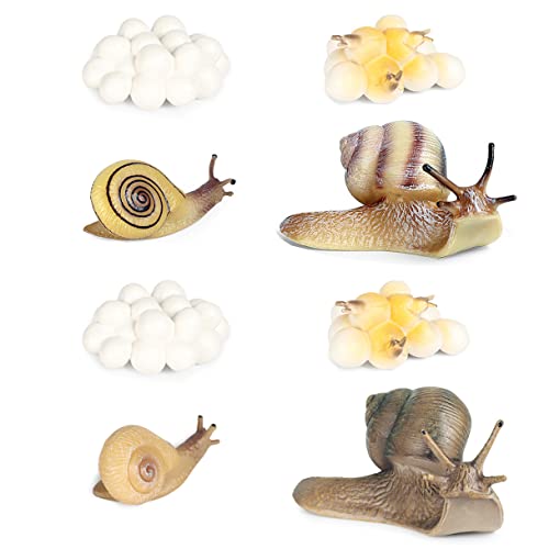 Rich Boxer 8 Pcs Snail Figurines Snail Model Snail Growth Cycle Model Set Plastic Snail Realistic Animal Model for Diorama