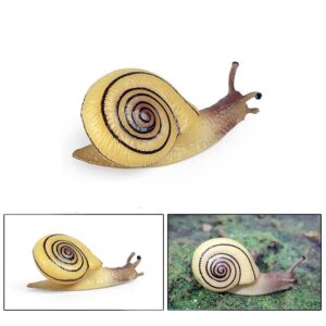 Rich Boxer 8 Pcs Snail Figurines Snail Model Snail Growth Cycle Model Set Plastic Snail Realistic Animal Model for Diorama