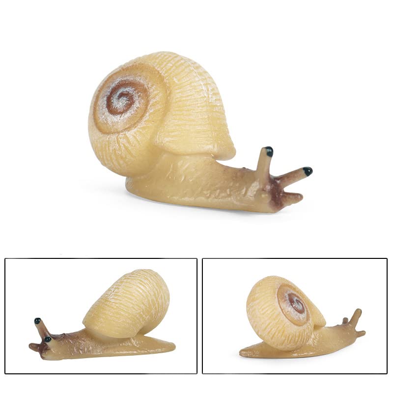 Rich Boxer 8 Pcs Snail Figurines Snail Model Snail Growth Cycle Model Set Plastic Snail Realistic Animal Model for Diorama