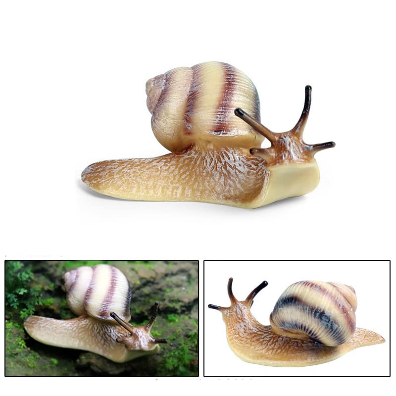 Rich Boxer 8 Pcs Snail Figurines Snail Model Snail Growth Cycle Model Set Plastic Snail Realistic Animal Model for Diorama