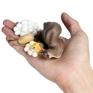 Rich Boxer 8 Pcs Snail Figurines Snail Model Snail Growth Cycle Model Set Plastic Snail Realistic Animal Model for Diorama