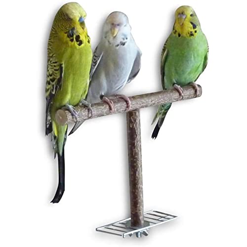 ShanLily Wood Bird Perches Parrot Stand Natural Perch Parakeet Toys Bird Cage Accessories for Bird Supplies Budgie Platform