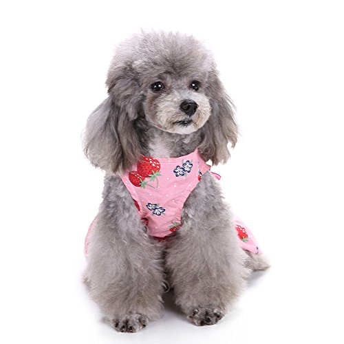 HonpraD Cat Outfits Cute Pet Print Bow Skirt Breathable Summer Sleeveless Shirt Comfortable Dog Shirt Breathable Dog Cute Puppy Outfits for Girls