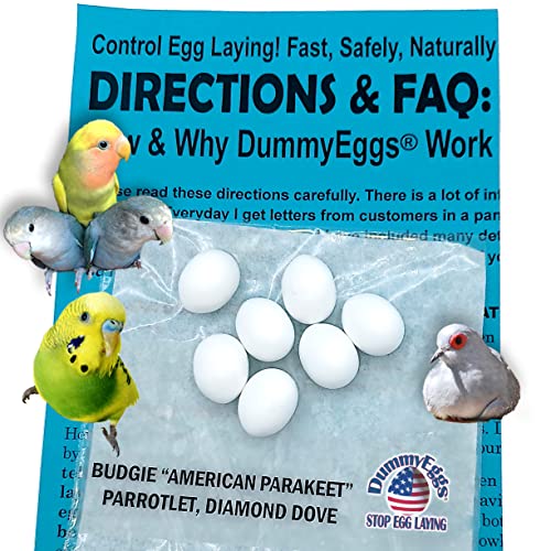 7 Dummy Eggs to Stop Egg Laying for Budgerigar Parakeet, Parrotlet, Diamond Dove. Non-Toxic Premium Realistic Plastic Solid Fake Bird Eggs 3/4 x 5/8 USA