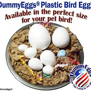 7 Dummy Eggs to Stop Egg Laying for Budgerigar Parakeet, Parrotlet, Diamond Dove. Non-Toxic Premium Realistic Plastic Solid Fake Bird Eggs 3/4 x 5/8 USA