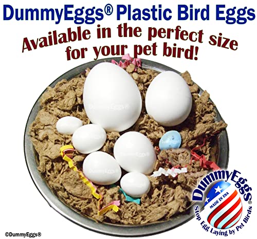 7 Dummy Eggs to Stop Egg Laying for Budgerigar Parakeet, Parrotlet, Diamond Dove. Non-Toxic Premium Realistic Plastic Solid Fake Bird Eggs 3/4 x 5/8 USA