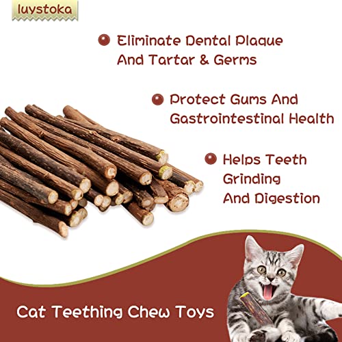 Luystoka [ 30pcs] Silvervine Sticks, Cat Chew Stick, Catnip Toys, Matatabi Sticks for Indoor Cats,Kitty, Wooden Dental Sticks, Kitten Teething Interactive Wand Toys for Cats