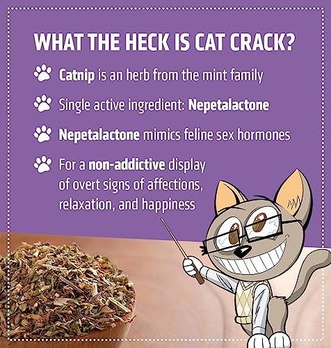 Cat Crack Catnip 1 Cup Bundled with Organic Catnip 1 Cup, Premium Blend Safe for Cats, Infused with Maximum Potency Your Kitty is Sure to Go Crazy