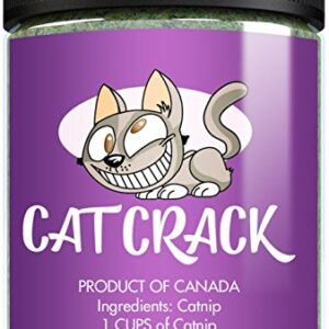 Cat Crack Catnip 1 Cup Bundled with Organic Catnip 1 Cup, Premium Blend Safe for Cats, Infused with Maximum Potency Your Kitty is Sure to Go Crazy