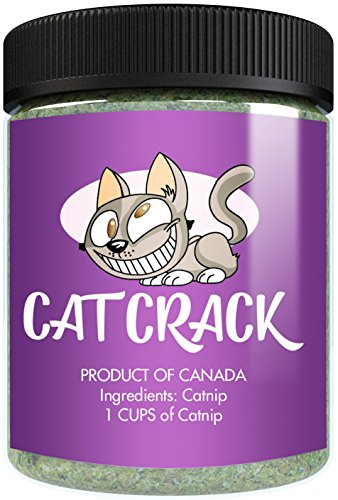 Cat Crack Catnip 1 Cup Bundled with Organic Catnip 1 Cup, Premium Blend Safe for Cats, Infused with Maximum Potency Your Kitty is Sure to Go Crazy