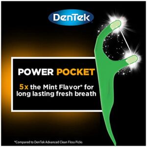 DenTek Fresh Breath Floss Picks, Mint Flavor, 400 Floss Picks