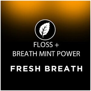 DenTek Fresh Breath Floss Picks, Mint Flavor, 400 Floss Picks