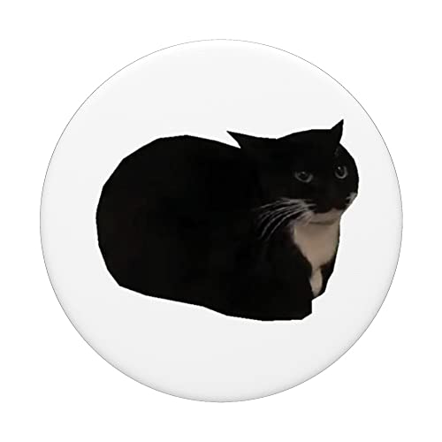 Spinning Cat Meme Maxwell The Cat Meme PopSockets Swappable PopGrip