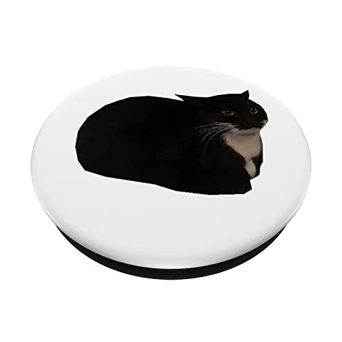 Spinning Cat Meme Maxwell The Cat Meme PopSockets Swappable PopGrip