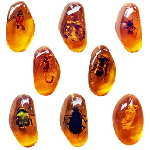 8pcs Amber Fossils with Insects Samples Stones Crystal Samples for Home Decorations Collections Oval Pendants Pendant Science Educational (8 Pcs)