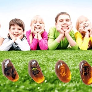 8pcs Amber Fossils with Insects Samples Stones Crystal Samples for Home Decorations Collections Oval Pendants Pendant Science Educational (8 Pcs)