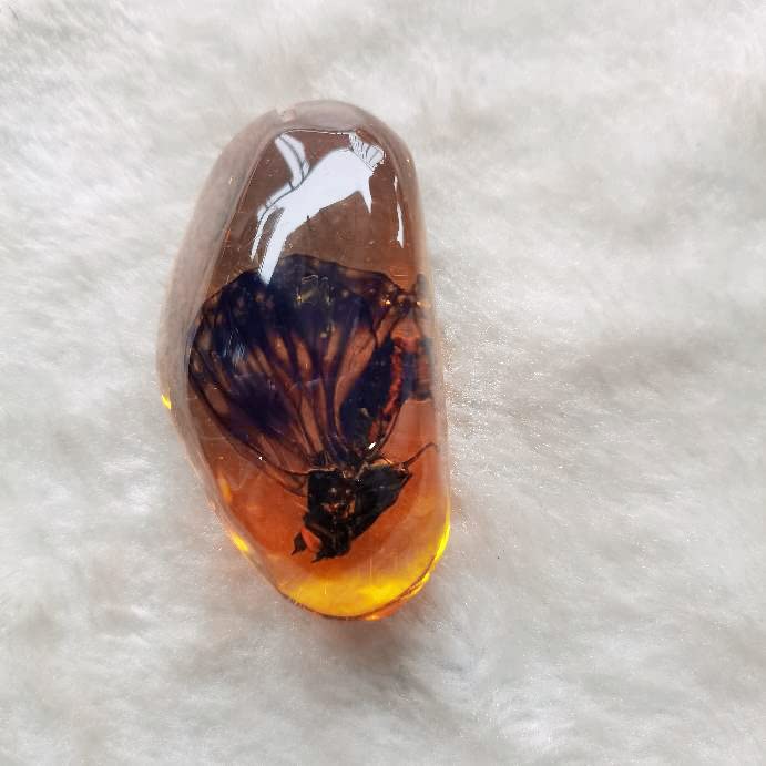 8pcs Amber Fossils with Insects Samples Stones Crystal Samples for Home Decorations Collections Oval Pendants Pendant Science Educational (8 Pcs)