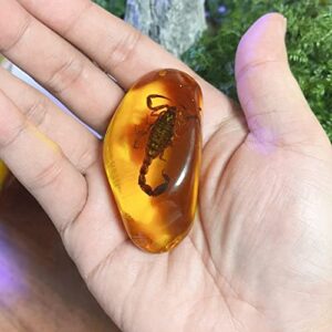 8pcs Amber Fossils with Insects Samples Stones Crystal Samples for Home Decorations Collections Oval Pendants Pendant Science Educational (8 Pcs)