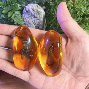 8pcs Amber Fossils with Insects Samples Stones Crystal Samples for Home Decorations Collections Oval Pendants Pendant Science Educational (8 Pcs)