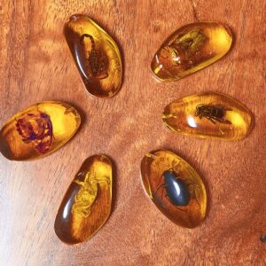 8pcs Amber Fossils with Insects Samples Stones Crystal Samples for Home Decorations Collections Oval Pendants Pendant Science Educational (8 Pcs)