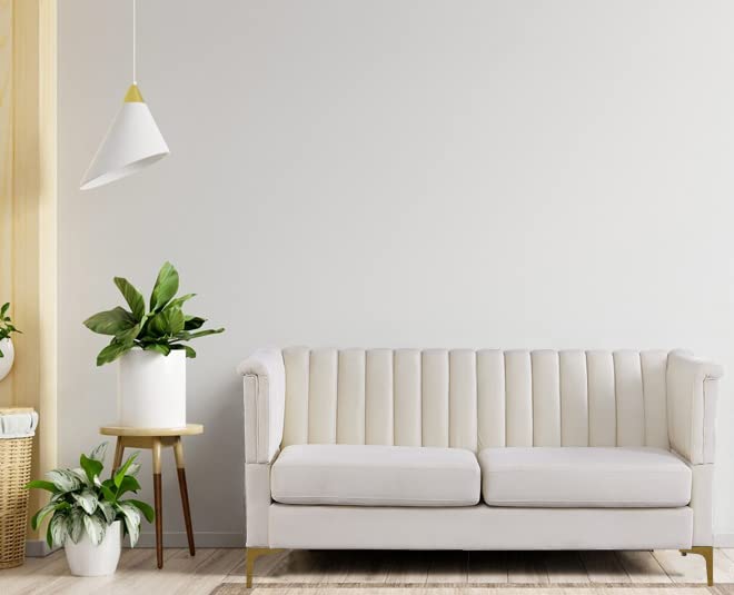 WIN FORCE 70" Beige White Velvet Loveseat Sofa Couch for Living Room, Cream Mid Century Modern loveseats for Small Space, 3 Seater Upholstered Small Sofa Love Seats Furniture for Bedroom, Apartment