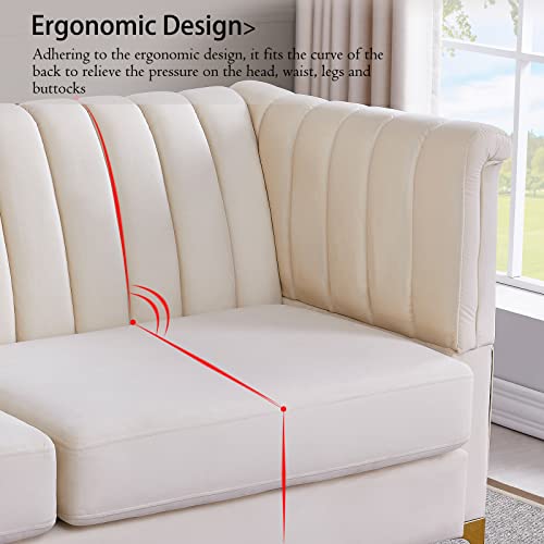 WIN FORCE 70" Beige White Velvet Loveseat Sofa Couch for Living Room, Cream Mid Century Modern loveseats for Small Space, 3 Seater Upholstered Small Sofa Love Seats Furniture for Bedroom, Apartment