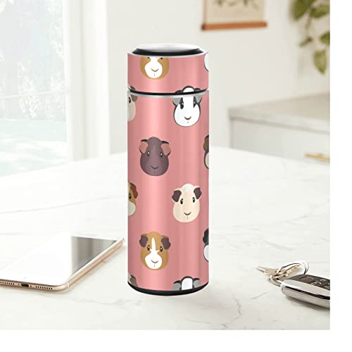 Glaphy Cartoon Guinea Pig Pink Water Bottle, BPA-Free, Stainless Steel, 12 oz Insulated Water Bottles Kids, for School, Office, Gym, Sports, Travel, 350ml