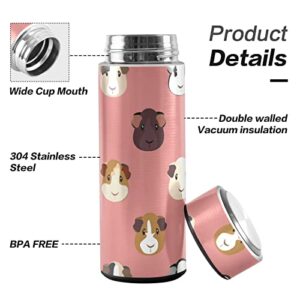 Glaphy Cartoon Guinea Pig Pink Water Bottle, BPA-Free, Stainless Steel, 12 oz Insulated Water Bottles Kids, for School, Office, Gym, Sports, Travel, 350ml