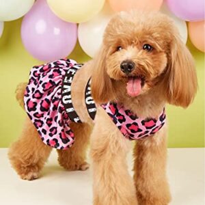 QWINEE 2pcs Leopard Letter Dog Tank Top and Dress Set Puppy Vest Shirt Skirt for Small Medium Dog Cat Kitten Leopard Pink XS