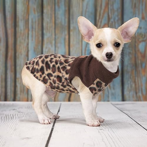 Dog Clothes for Small Dogs Boy Girl Leopard Fleece Chihuahua Clothes XXS~S Winter Warm Puppy Sweaters Boys Girls Tiny Dog Outfits for Teacup Yorkie Puppies Extra Small Pet Clothes, Medium, Leopard