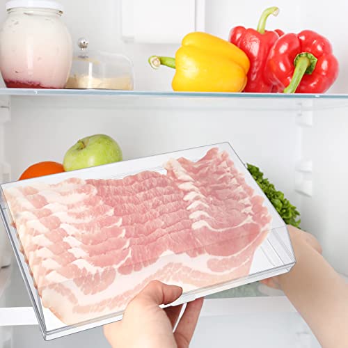 Qunclay 4 Pieces Bacon Saver Plastic Bacon Container Deli Meat Saver Storage Container with Lid for Refrigerator Flat Shallow Food Storage Containers for Refrigerator