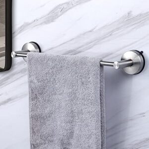 DGYB 17 Inch Brushed Nickel Towel Bar for Bathroom + Set of 2 Large Suction Cup Hooks for Shower