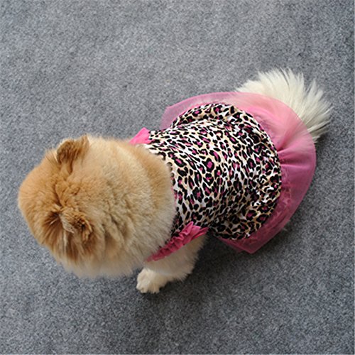 HonpraD Shirts Summer Apparel Small Puppy Pet Leopard Dress Cat Cute Clothes Pet Clothes Dog Service Vest with Name Embroide