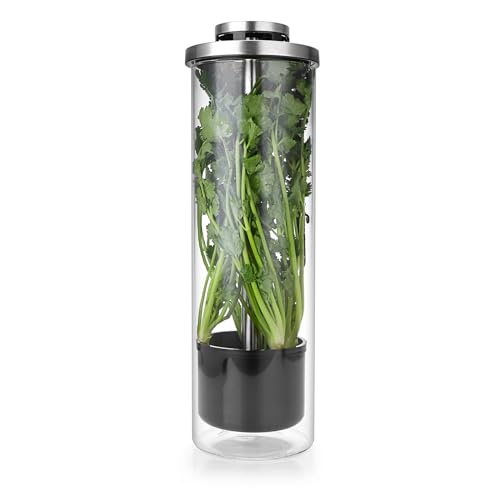 JUXYES Fresh Herb Keeper Saver Asparagus Container Pod, Fresh Herb Keeper Container Herb Storage Container for Cilantro, Mint, Parsley, Asparagus, Keep Greens Fresh, Glass Material, 12.6" Height