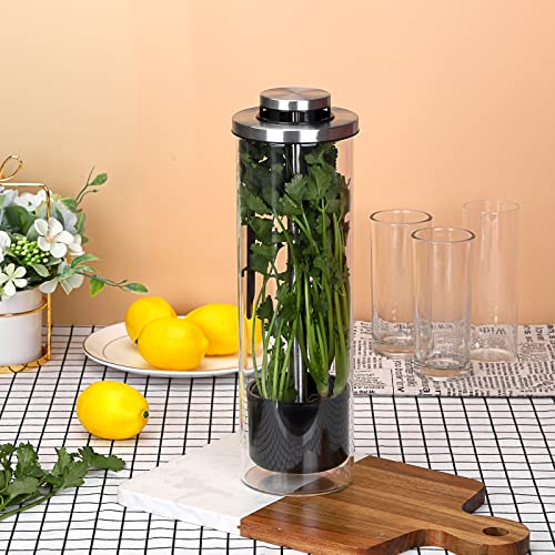 JUXYES Fresh Herb Keeper Saver Asparagus Container Pod, Fresh Herb Keeper Container Herb Storage Container for Cilantro, Mint, Parsley, Asparagus, Keep Greens Fresh, Glass Material, 12.6" Height