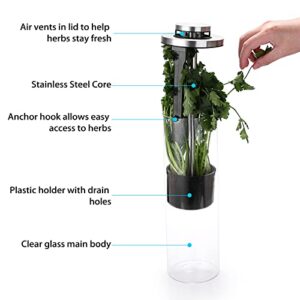 JUXYES Fresh Herb Keeper Saver Asparagus Container Pod, Fresh Herb Keeper Container Herb Storage Container for Cilantro, Mint, Parsley, Asparagus, Keep Greens Fresh, Glass Material, 12.6" Height