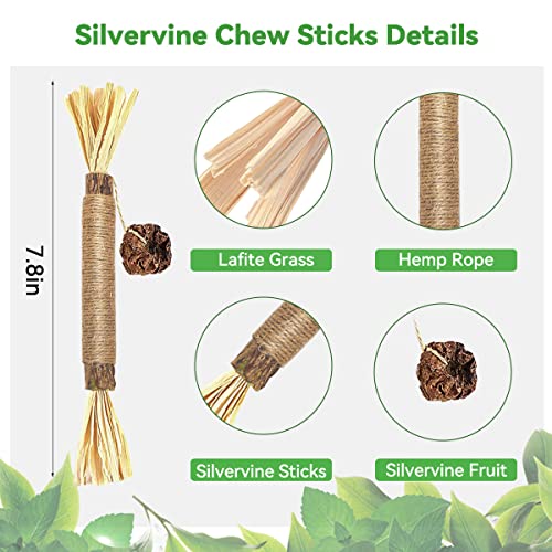 Aucenix Silvervine Sticks for Cats Lick - Silvervine Blend Sticks for Kittens Chewing,Natural Silvervine Cat Chew Sticks for Teeth Cleaning and Stress Release