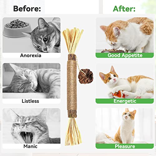 Aucenix Silvervine Sticks for Cats Lick - Silvervine Blend Sticks for Kittens Chewing,Natural Silvervine Cat Chew Sticks for Teeth Cleaning and Stress Release