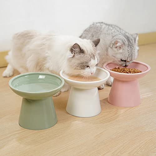 CEEFU Extra Wide Elevated Cat Bowls - Ceramic Cat Food Bowl 6.2" Raised Cat Food Bowls Elevated Shallow Cat Food Dish, Whisker Fatigue, Lead & Cadmium Free, 5" Good Height for Cat Feeding, Green