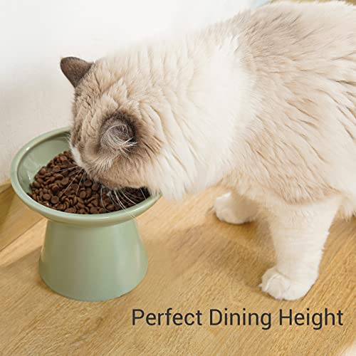 CEEFU Extra Wide Elevated Cat Bowls - Ceramic Cat Food Bowl 6.2" Raised Cat Food Bowls Elevated Shallow Cat Food Dish, Whisker Fatigue, Lead & Cadmium Free, 5" Good Height for Cat Feeding, Green