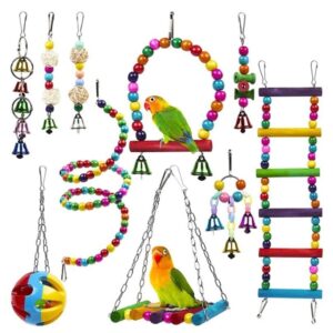 Bird Swings for Parrort,Parrot Birds Swing Chewing Toys,10 Pack Bird Swings Cage Accessories for Parrot,Parakeets,Cockatiels,Lovebirds and Small Pets (Bird Parakeet Swing Toys)