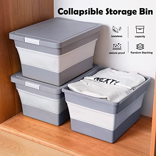 Beinilai Collapsible Storage Bins with lids,26 Qt Plastic Storage Bin Containers Tote Organizing with Secure Buckles，Suitable for Family Outdoor Multi-scene (Dark Gray)