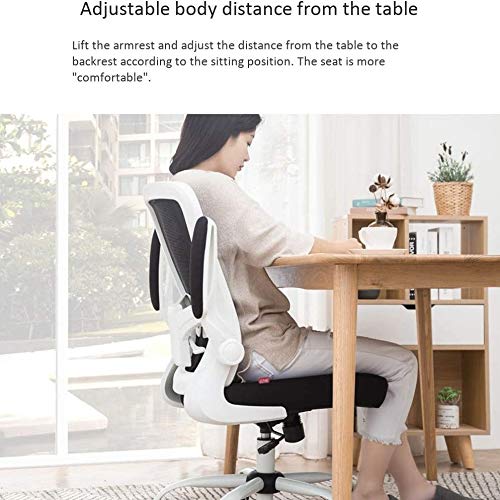 BZLSFHZ Mesh Swivel Ergonomic Task Office Chair with Computer Chair Home Chair Student Chair Writing Chair Office Chair