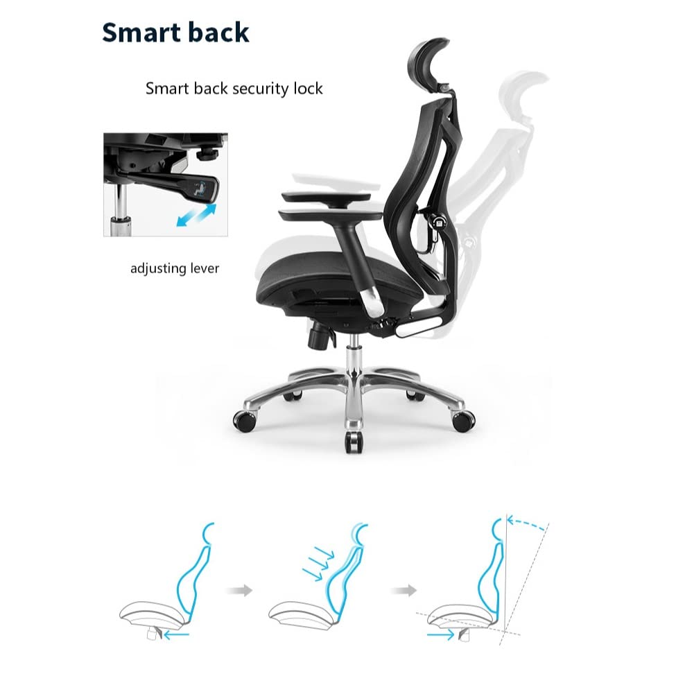 BZLSFHZ Ergonomic Computer Chair Home Waist Engineering Office Chair E-Sports Seat Human Design Multi-Function Adjustment