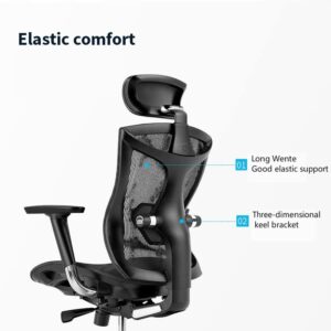 BZLSFHZ Ergonomic Computer Chair Home Waist Engineering Office Chair E-Sports Seat Human Design Multi-Function Adjustment