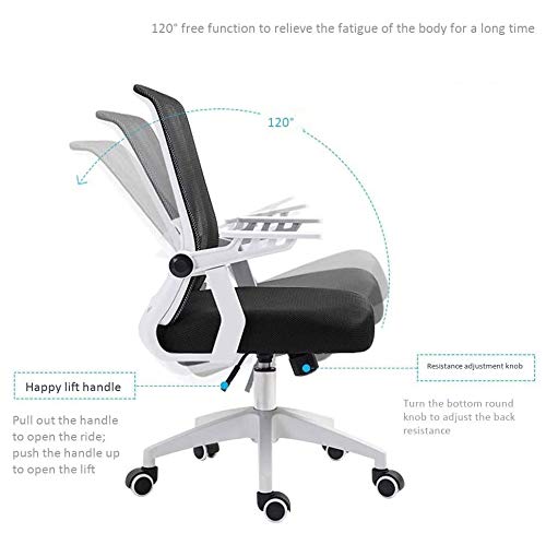 BZLSFHZ Computer Chair Sturdy Adult Personalized Rotating Armrest Removable Hall Chair Internet Cafe Chair (Color : Gray)